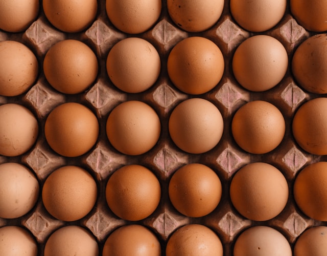 How Long Do Eggs Last in the Fridge? Egg Expiration, Safety & Composti